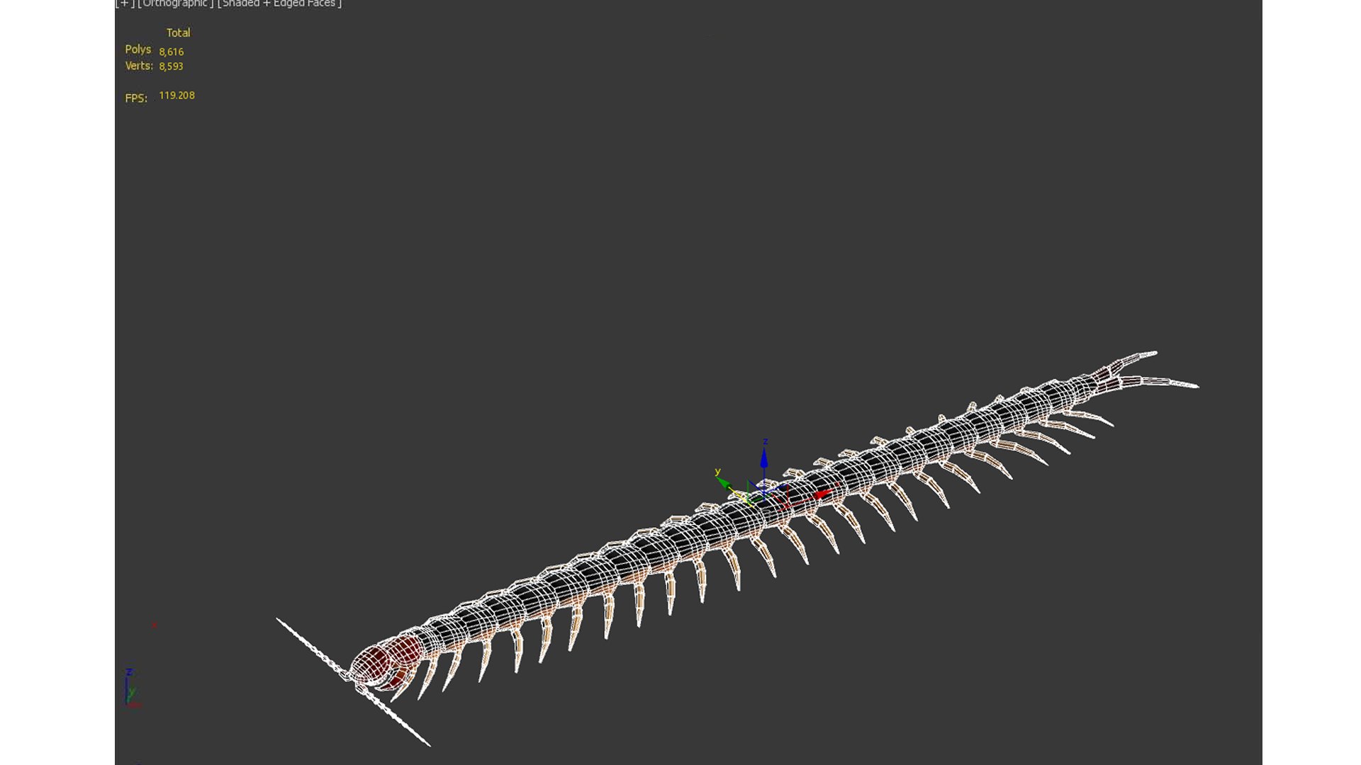 Amazonian Giant Centipede - Scolopendra Gigantea Model - TurboSquid 2310773