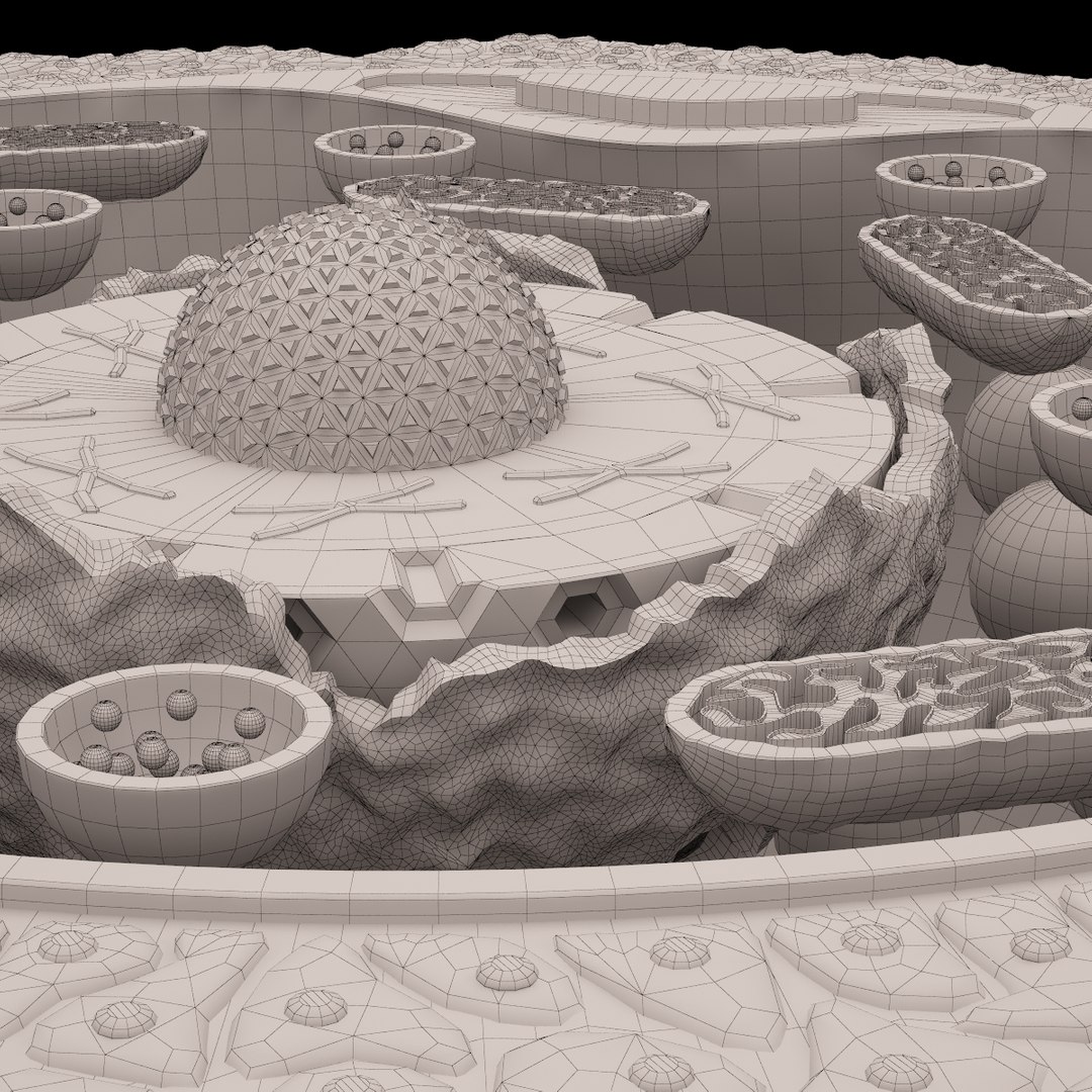 Max Human Egg Cell