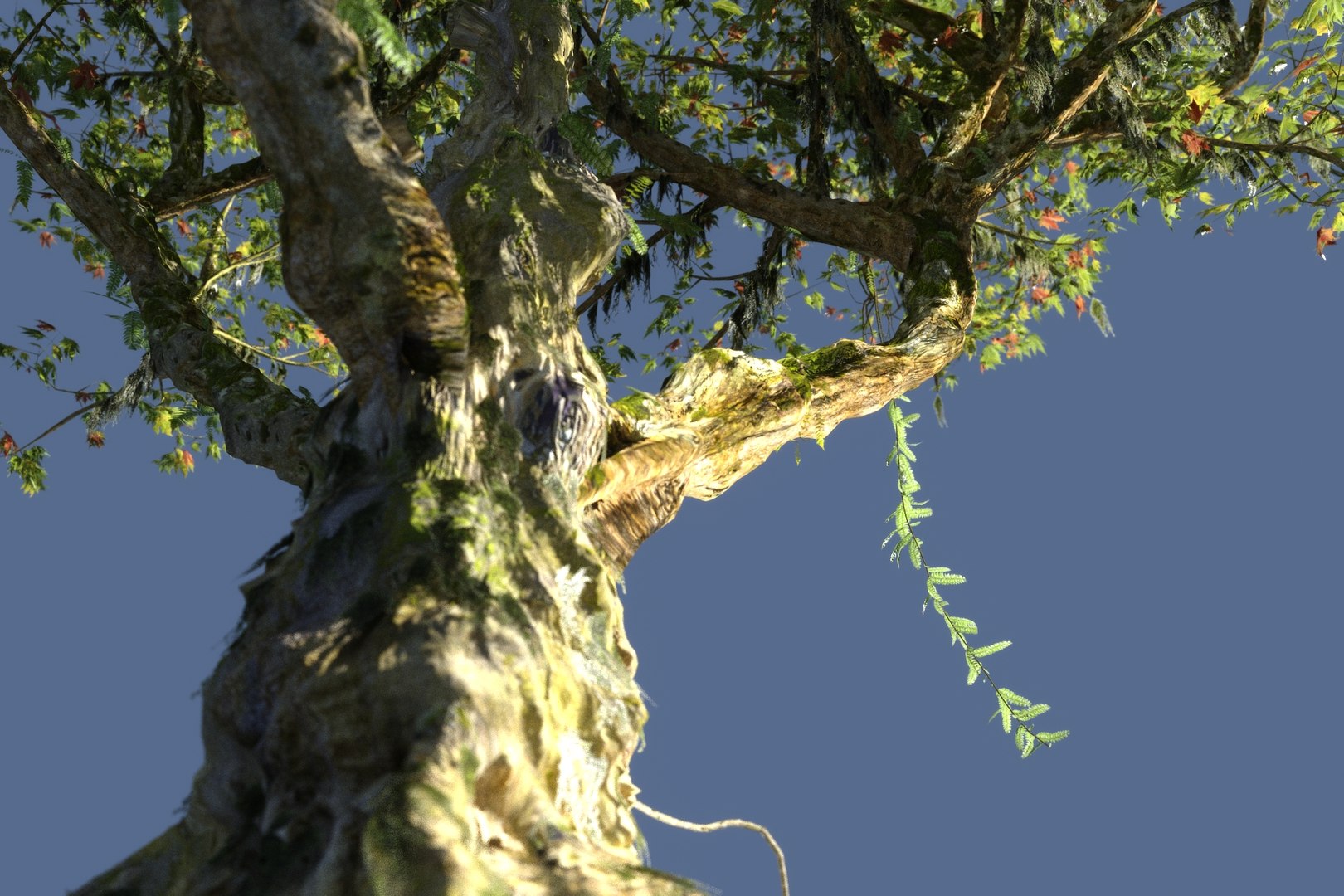 3D Tree Scanned - TurboSquid 1349736
