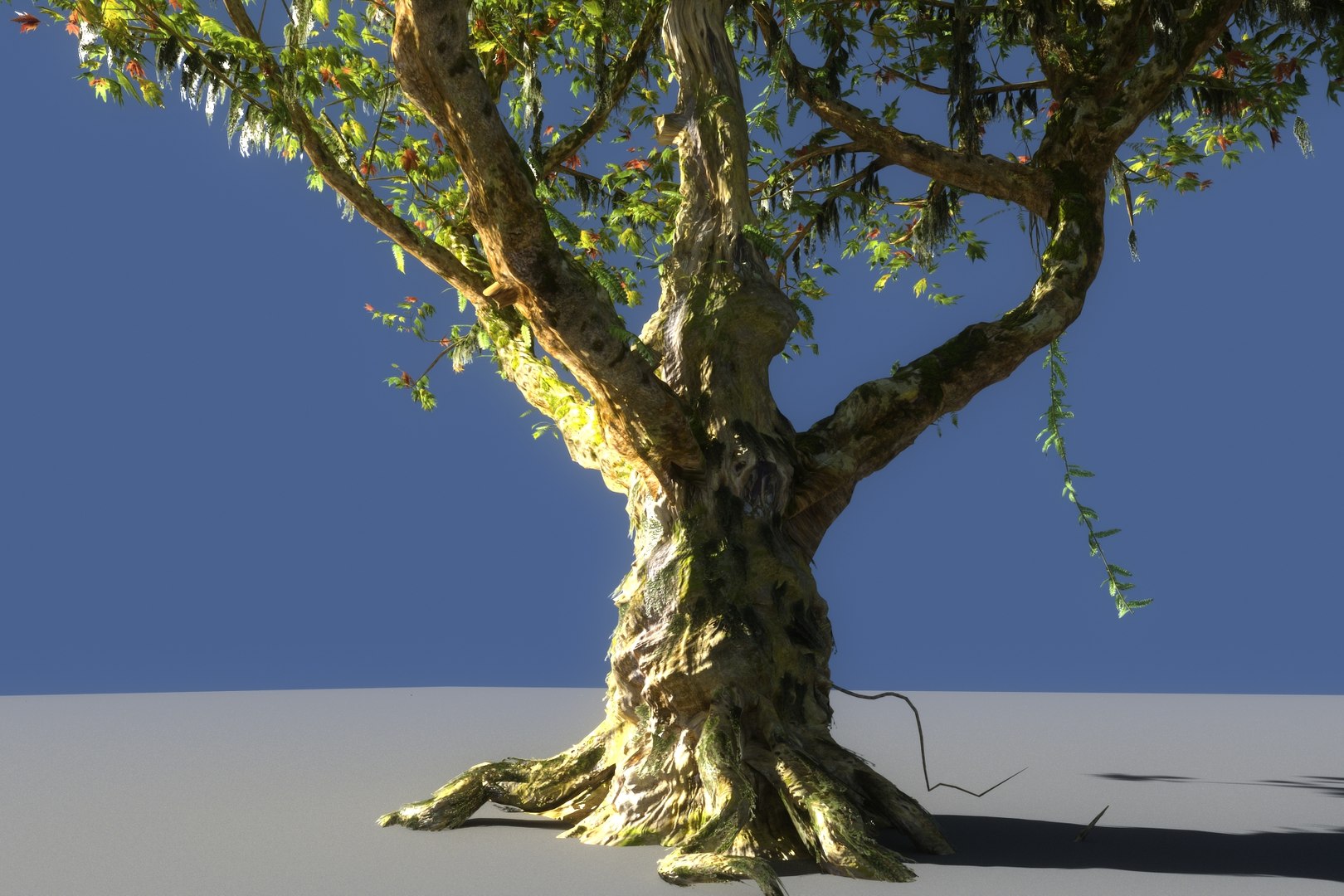 3D Tree Scanned - TurboSquid 1349736