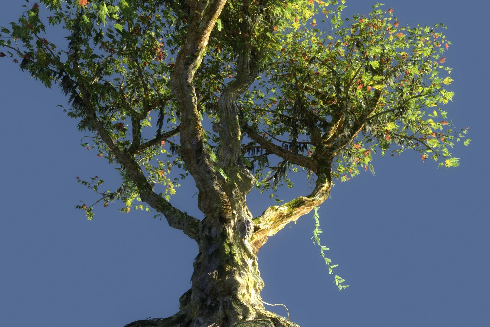 3D Tree Scanned - TurboSquid 1349736