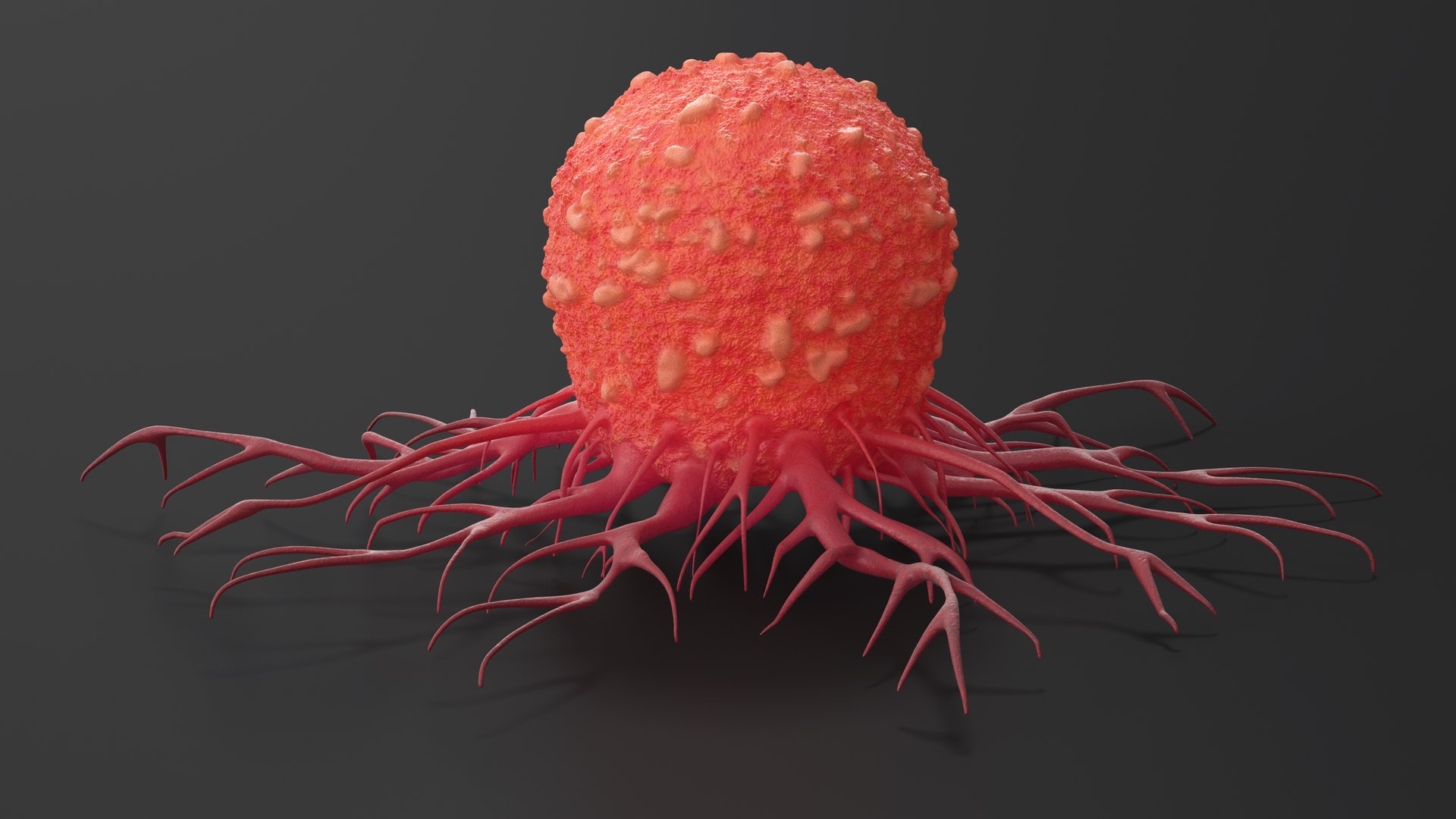 Tumor Cell Red 3D Model - TurboSquid 2137506