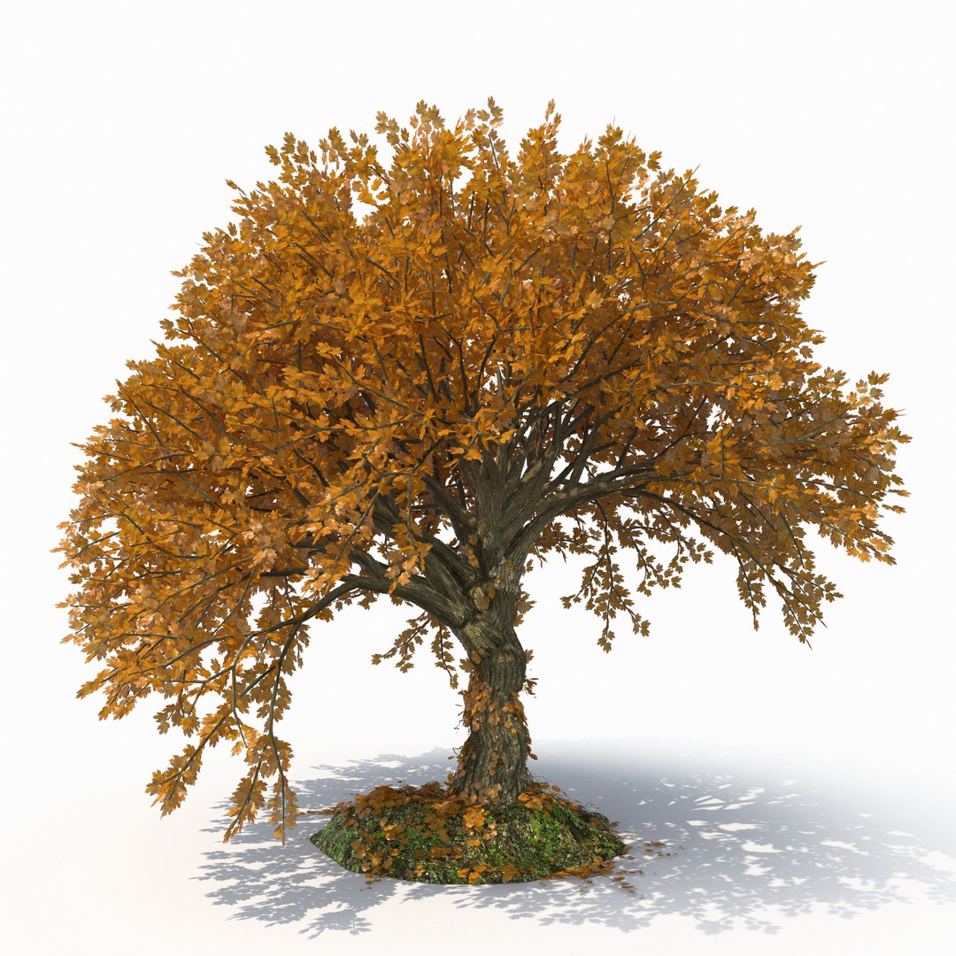 3D realistic tree - TurboSquid 1150625