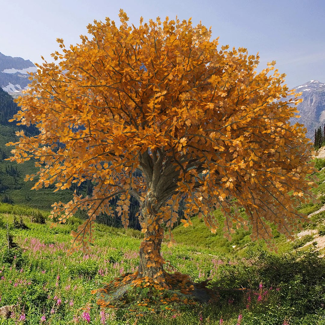 3D realistic tree - TurboSquid 1150625