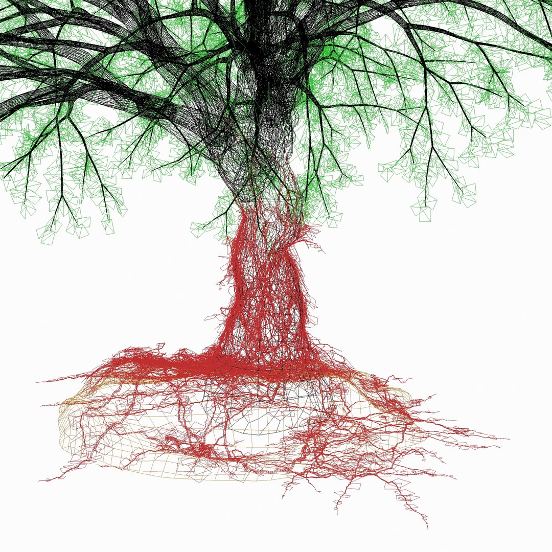 3D realistic tree - TurboSquid 1150625