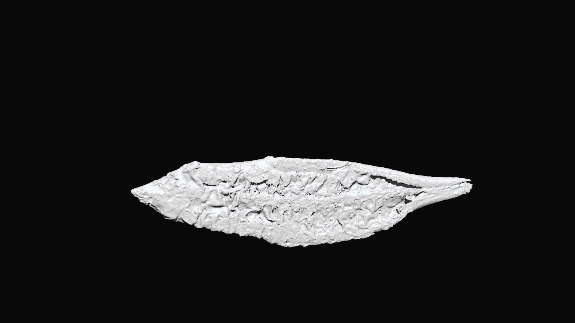 Grilled Eel 3D CT Scan Model Decimate 50 Percent 3D Model - TurboSquid ...