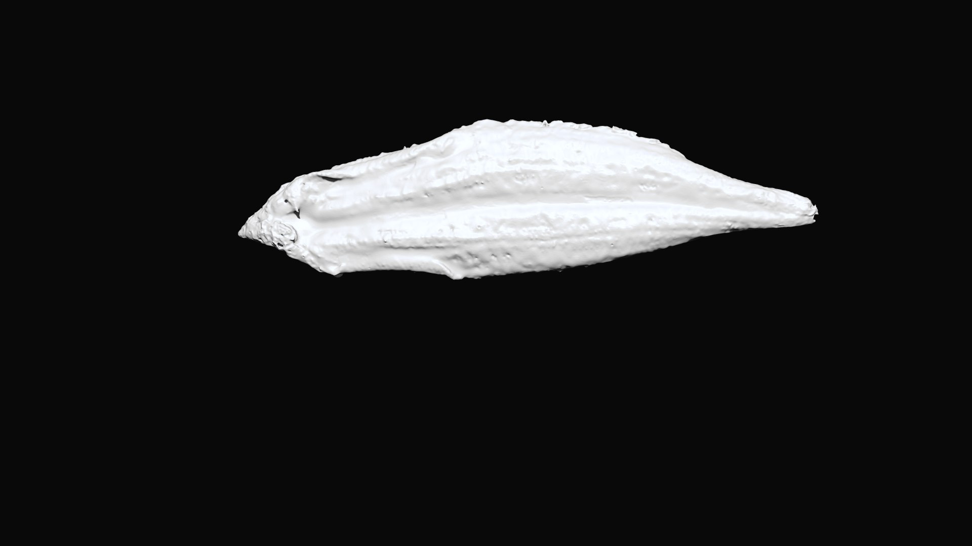 Grilled Eel 3D CT Scan Model Decimate 50 Percent 3D Model - TurboSquid ...