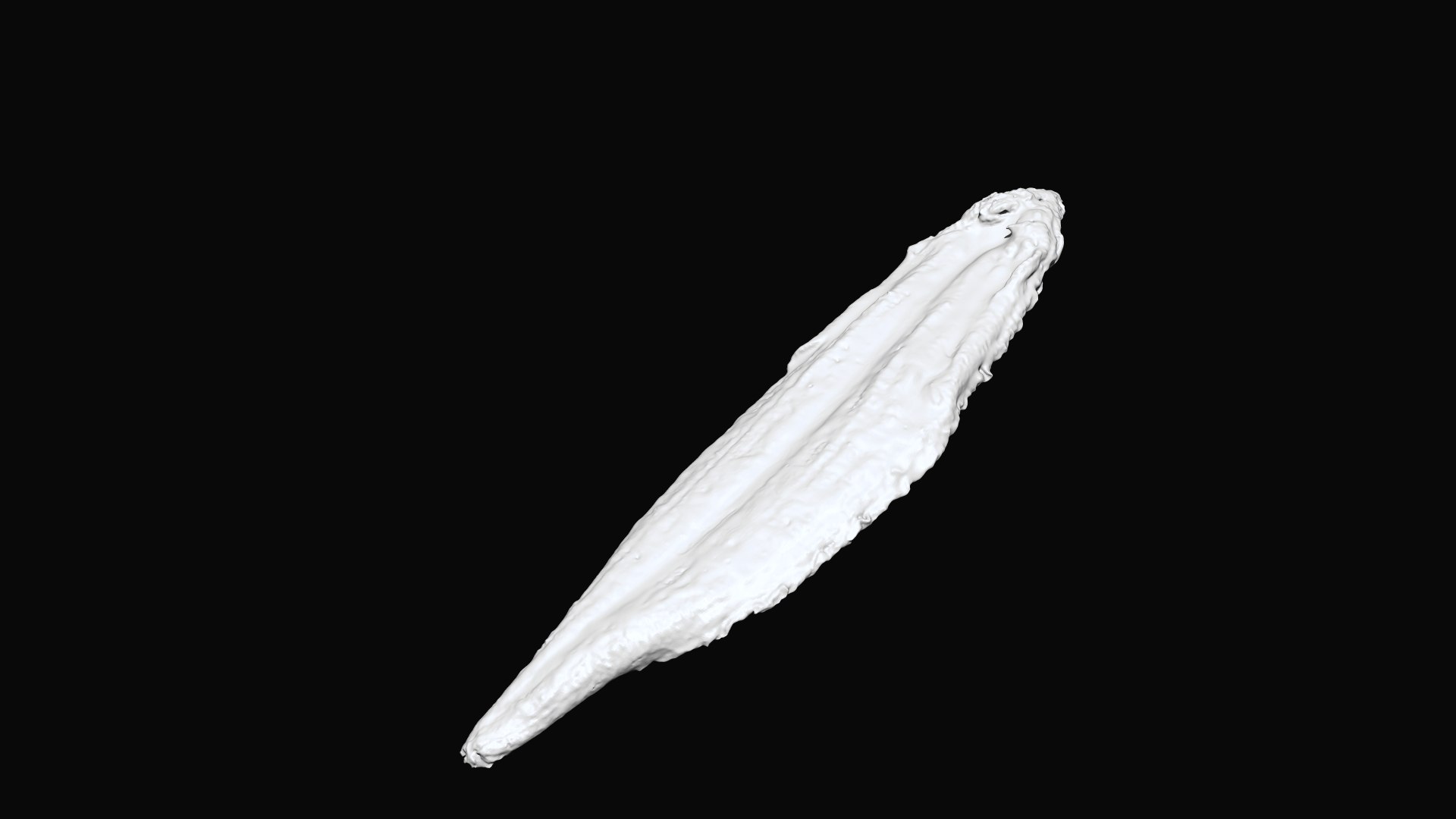 Grilled Eel 3D CT Scan Model Decimate 50 Percent 3D Model - TurboSquid ...