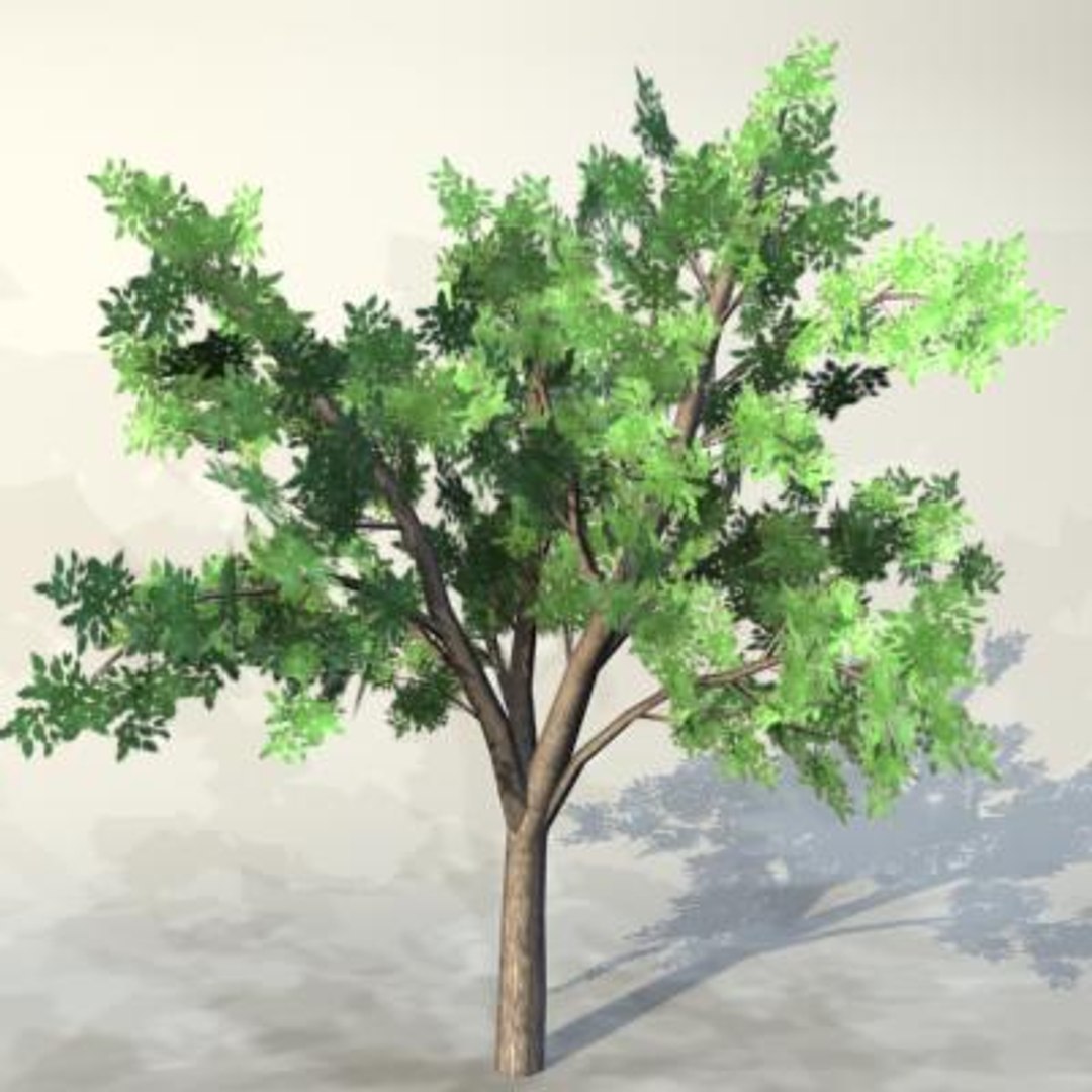 Trees Pc Ps3 3d Model