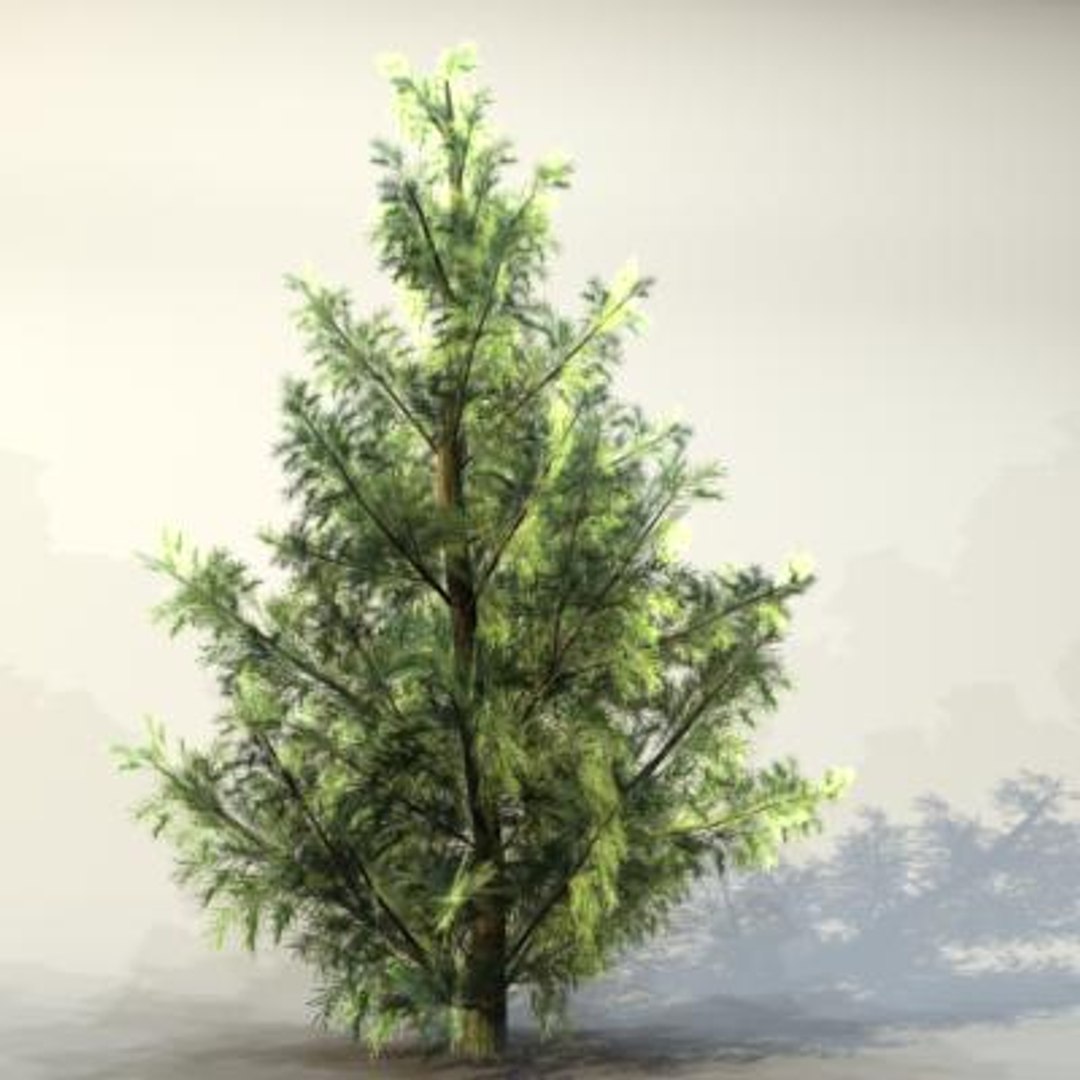 Trees Pc Ps3 3d Model