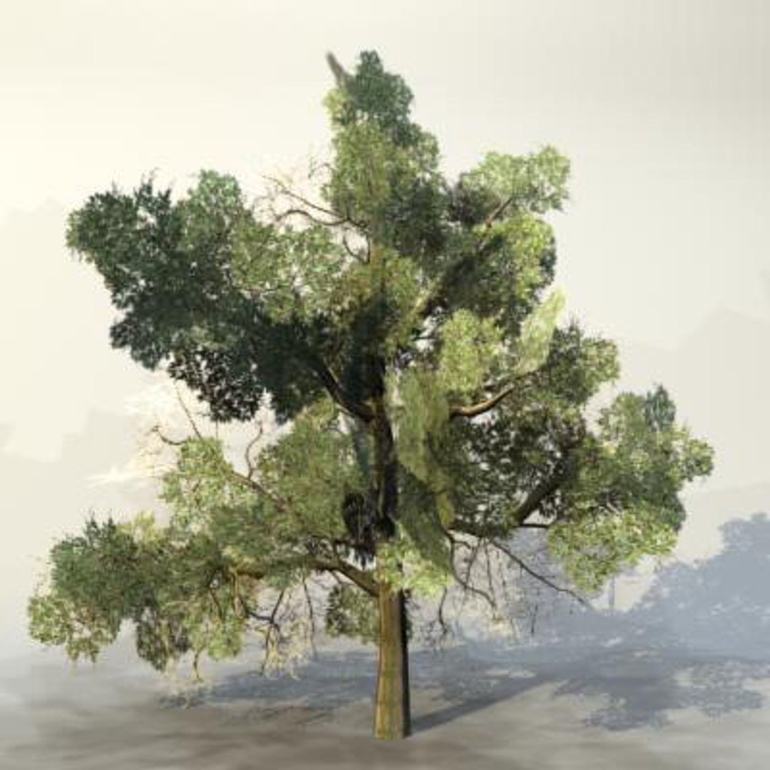 Trees Pc Ps3 3d Model