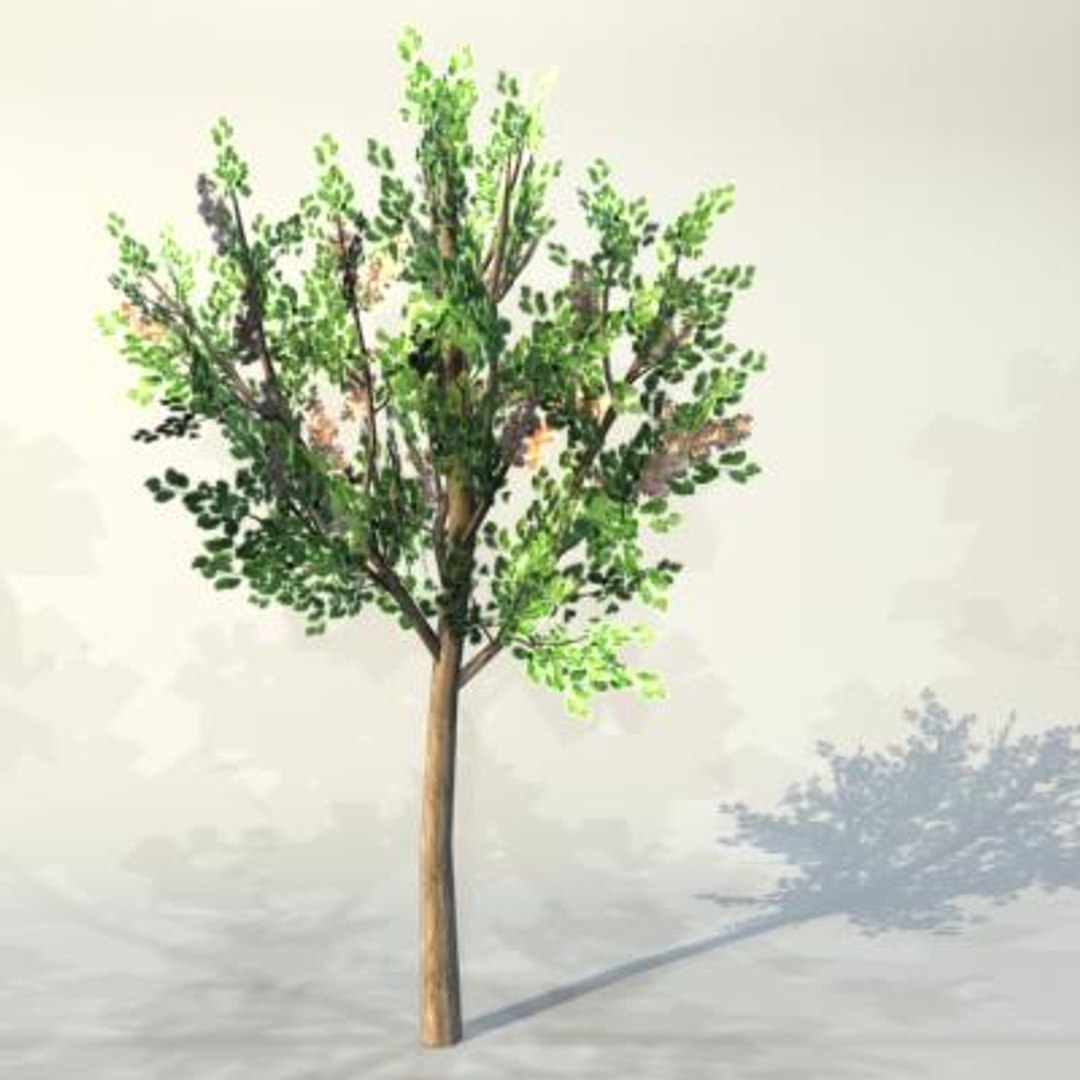 Trees Pc Ps3 3d Model