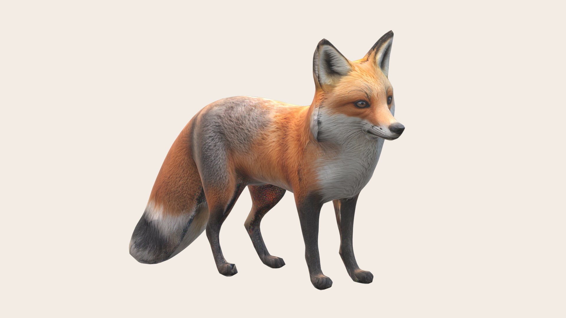 3D Fox - TurboSquid 2218985