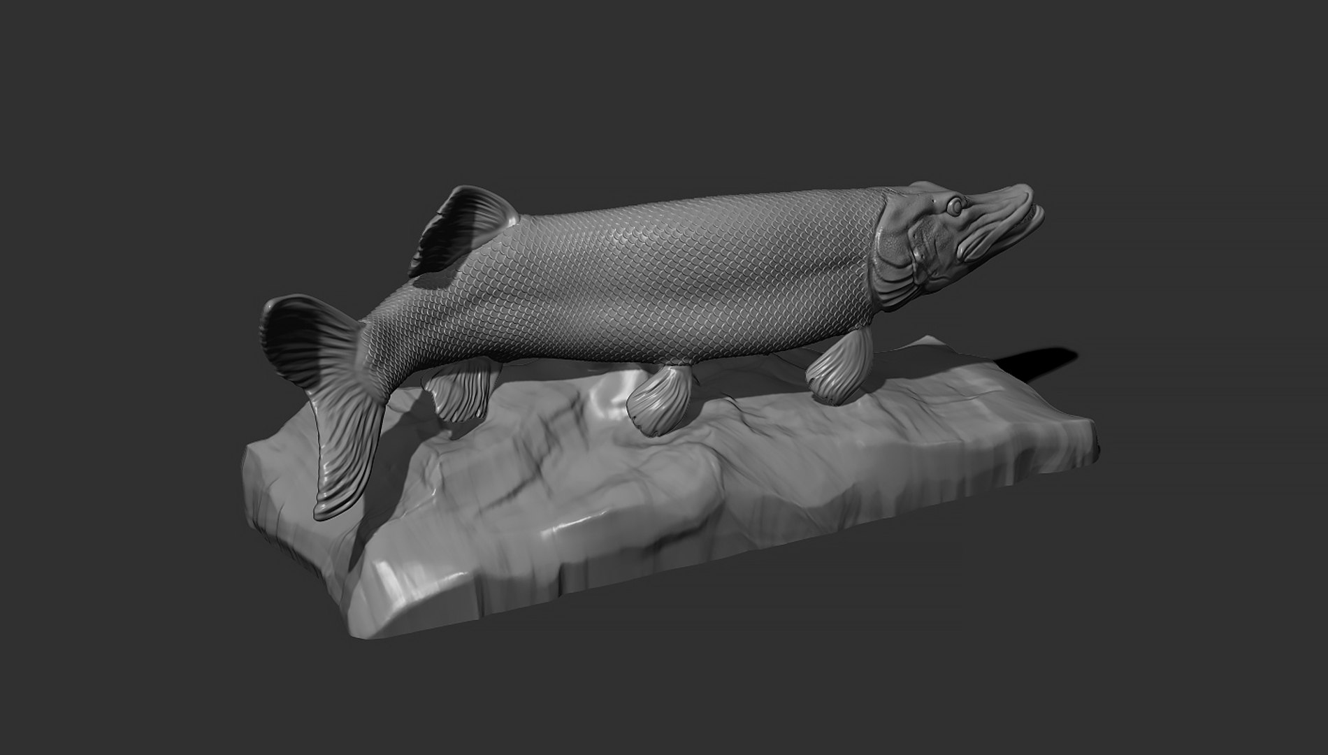 3D Model Pike Fish On The Base - TurboSquid 1916010