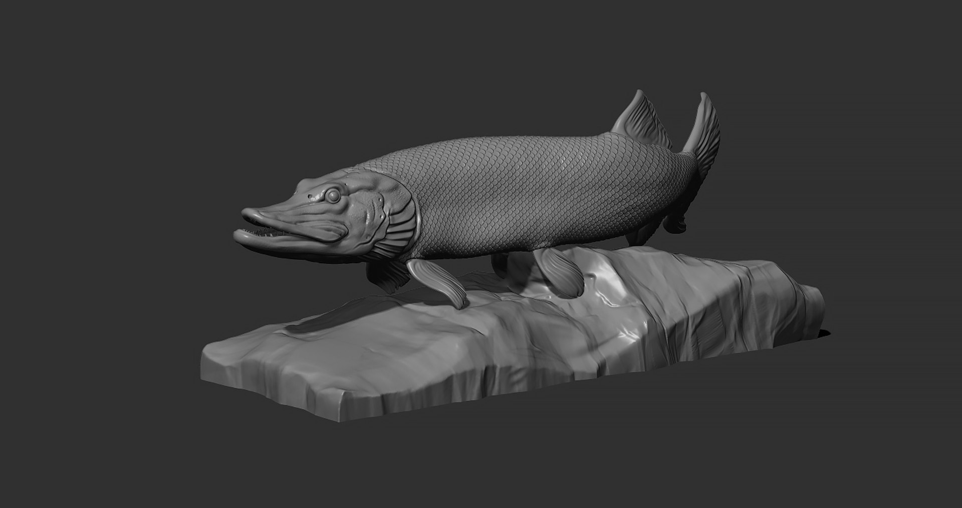 3D Model Pike Fish On The Base - TurboSquid 1916010