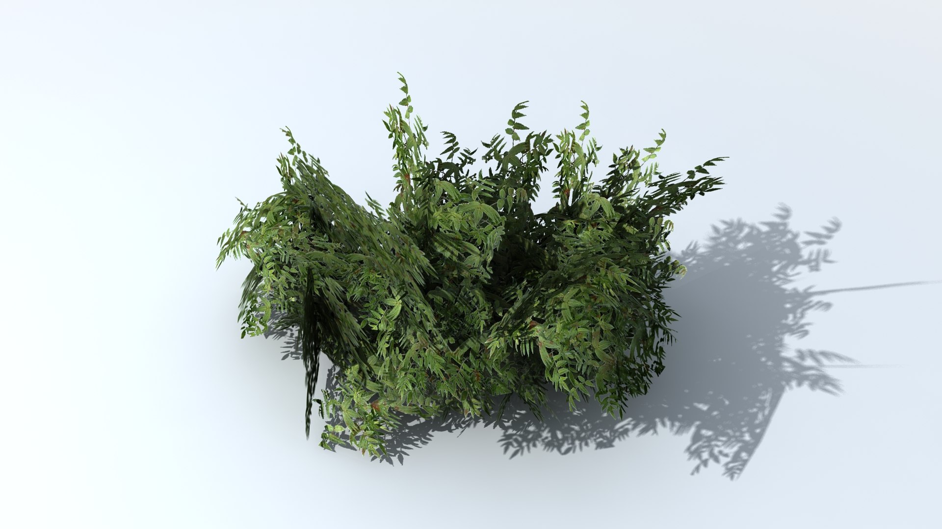 Shrub bush model - TurboSquid 1847938