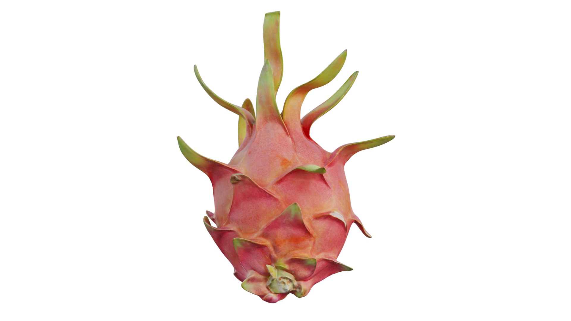 Dragon Fruit 11 3D Model - TurboSquid 1896374