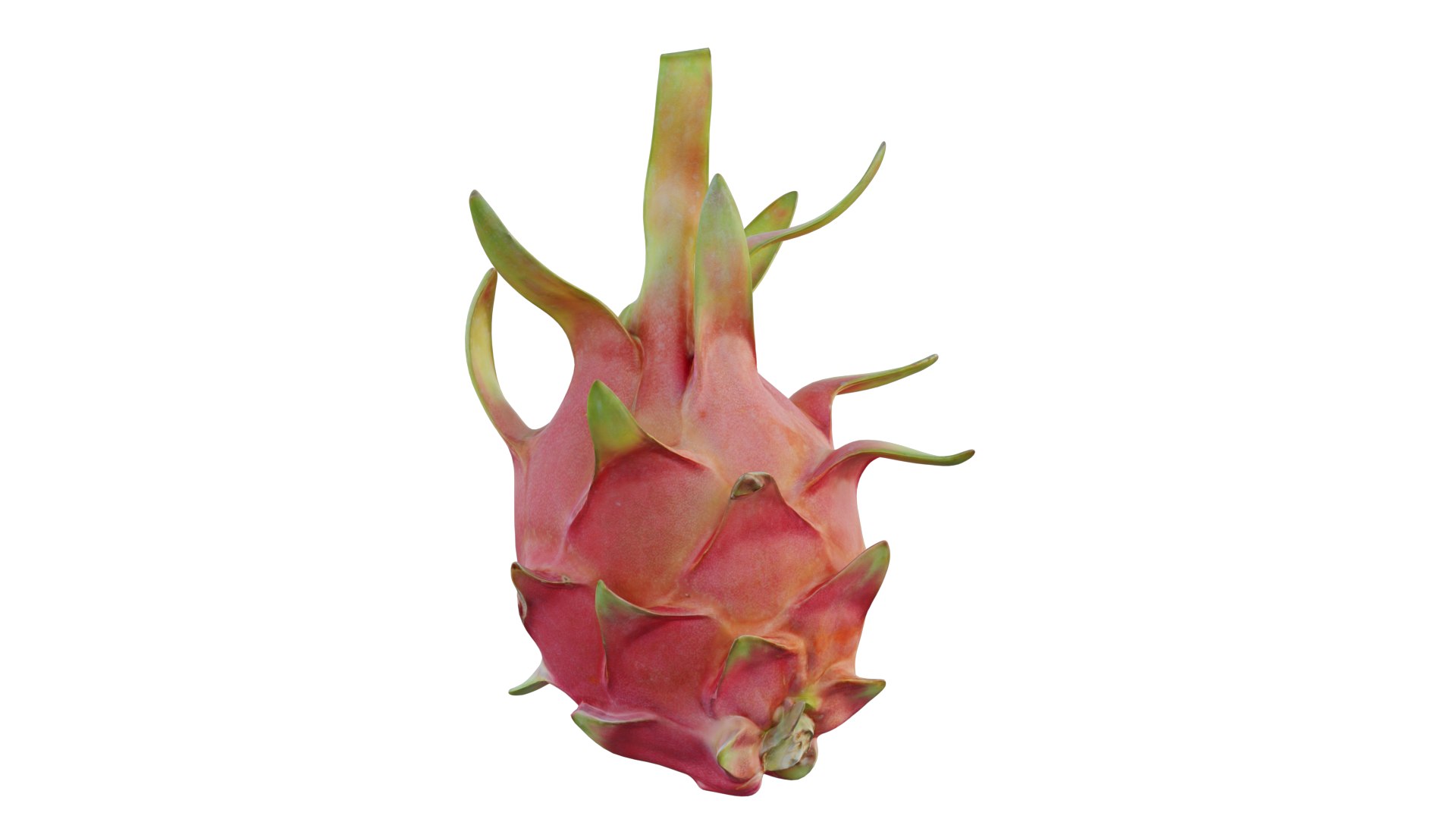 Dragon Fruit 11 3D Model - TurboSquid 1896374