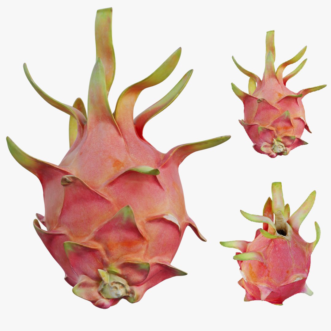 Dragon fruit 11 3D model - TurboSquid 1896374