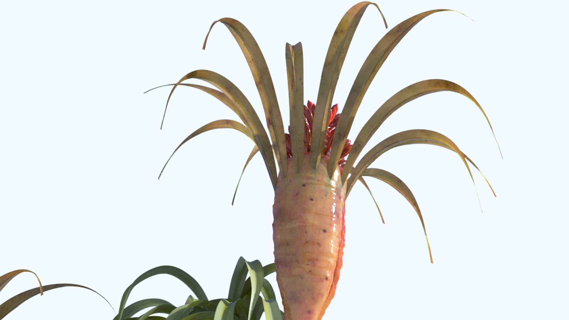 3D Plant Scifi Model - TurboSquid 1642585