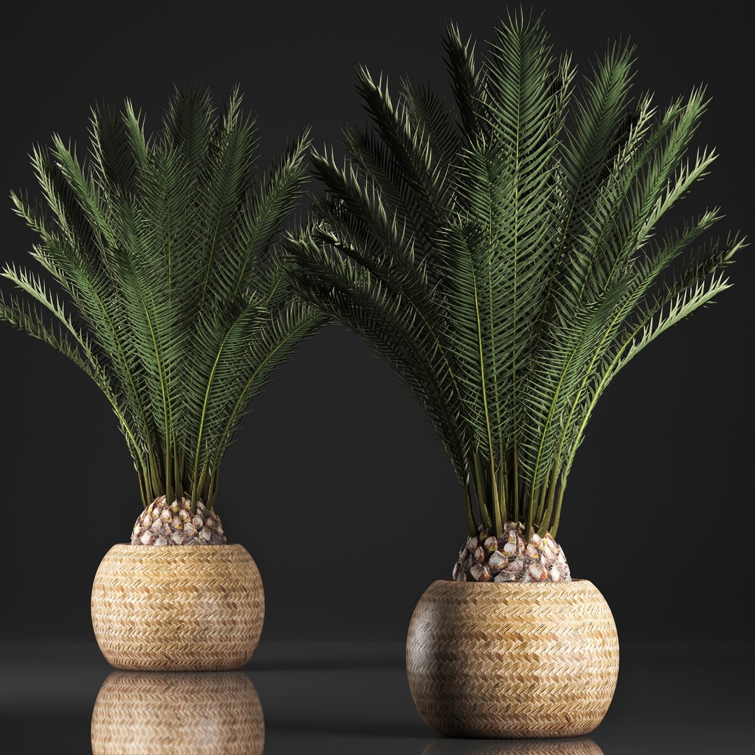 3D Decorative Palm Tree Pot - TurboSquid 1426083
