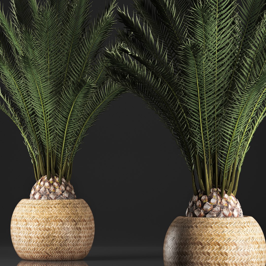 3D Decorative Palm Tree Pot - TurboSquid 1426083