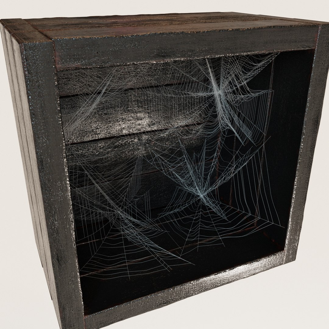 3d spiderweb shelves