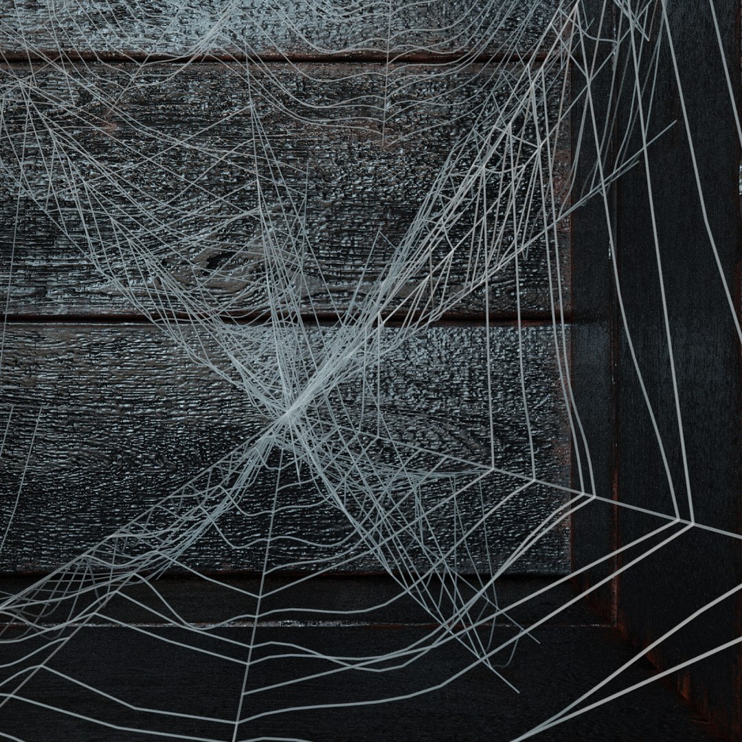 3d spiderweb shelves