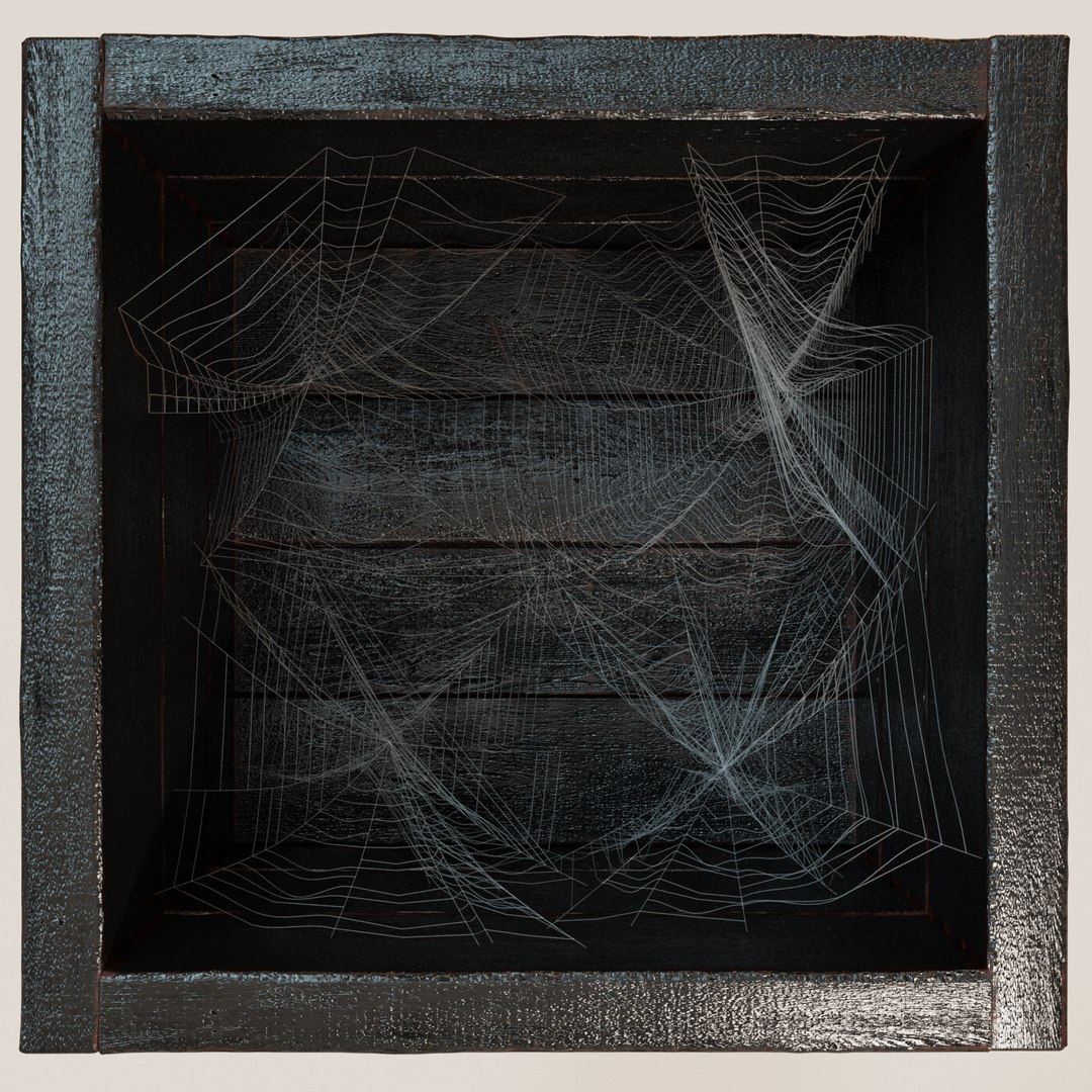 3d spiderweb shelves