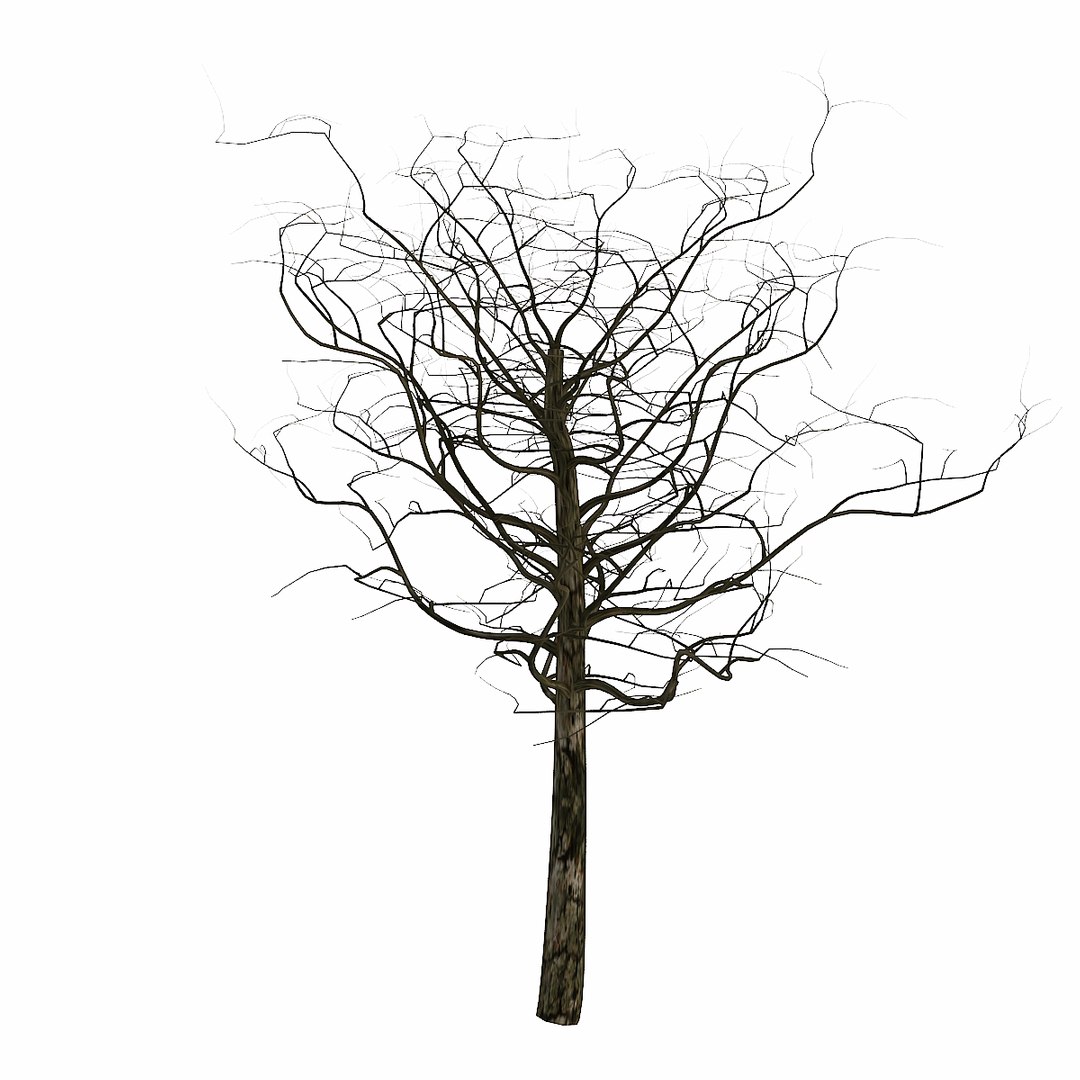tree 2 branches 3d max
