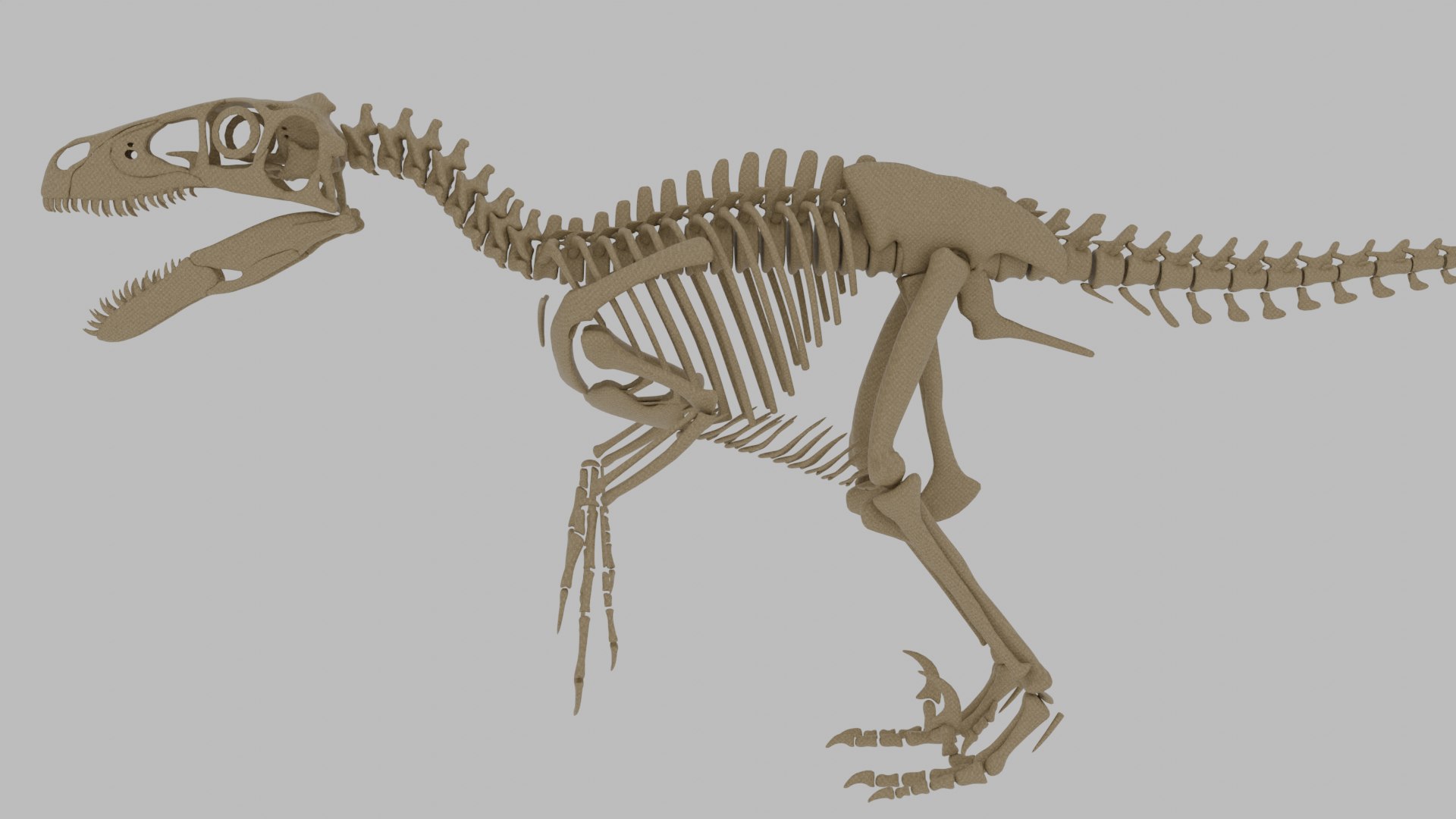3D Utahraptor Skeleton 3D Model High Detail Prehistoric Dinosaur Asset ...