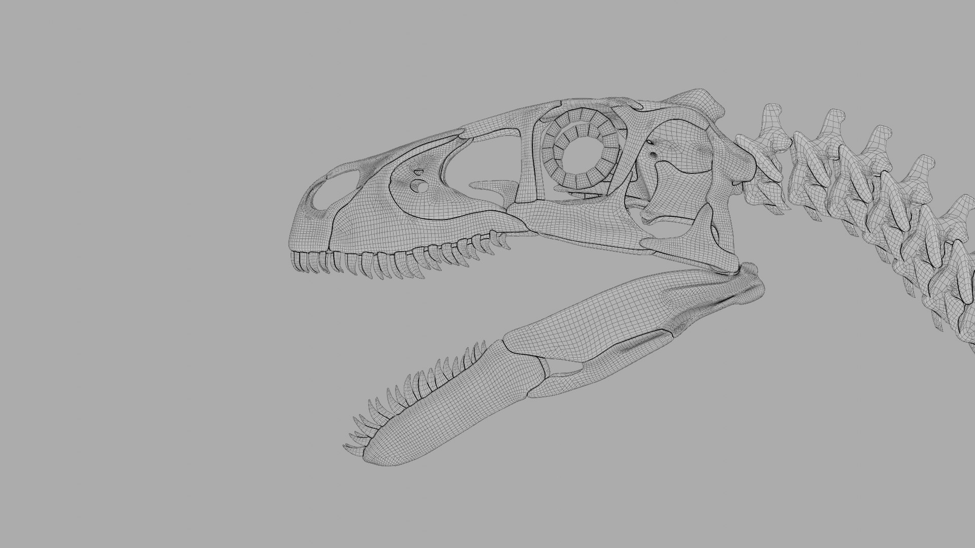 3D Utahraptor Skeleton 3D Model High Detail Prehistoric Dinosaur Asset ...