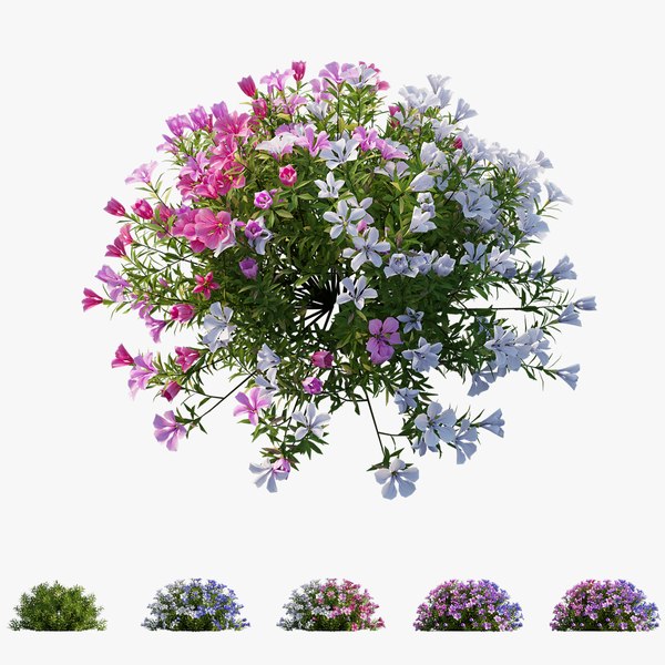 3D model plant flower set 12 - TurboSquid 1536516