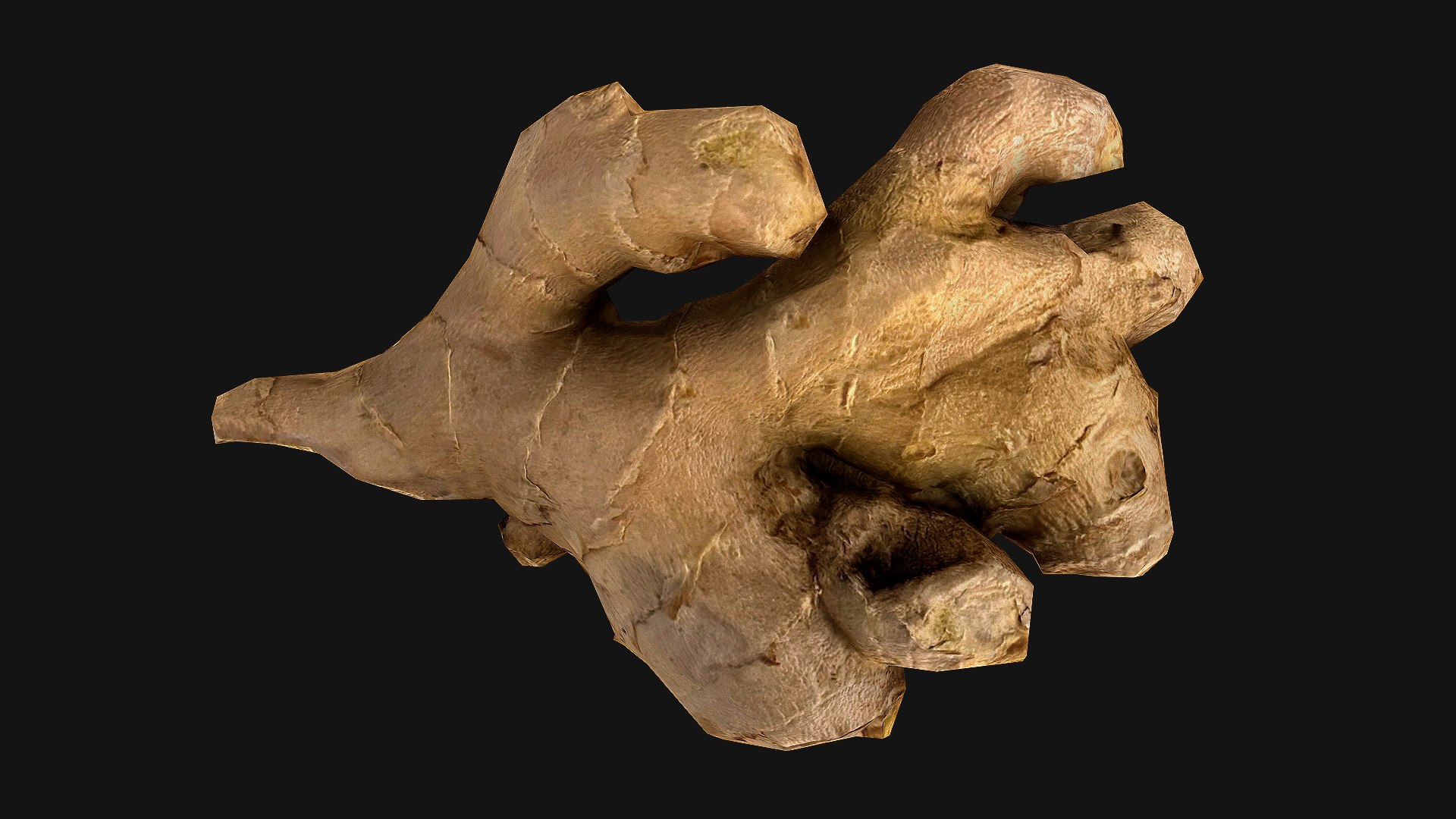 Ginger 3D Model - TurboSquid 1916789