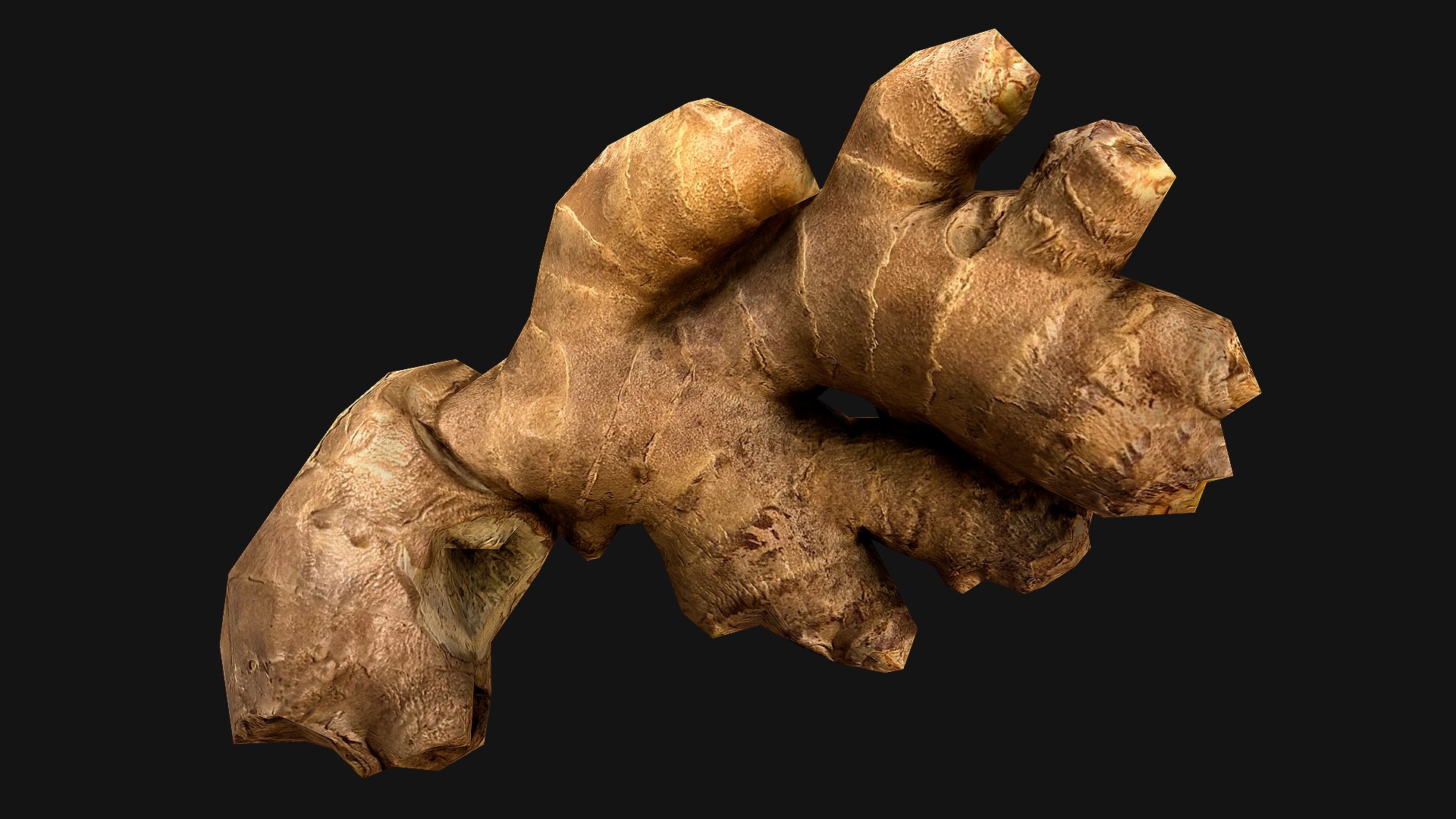 Ginger 3D Model - TurboSquid 1916789