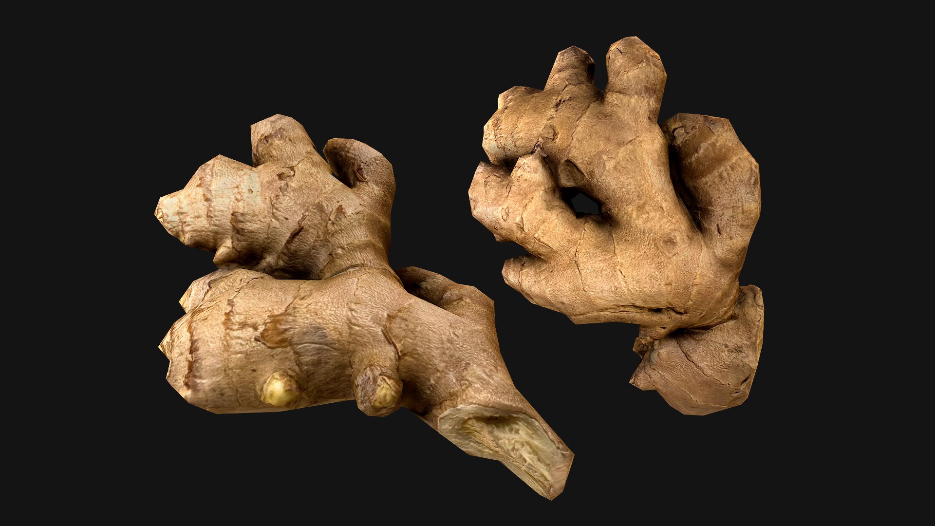 Ginger 3D Model - TurboSquid 1916789