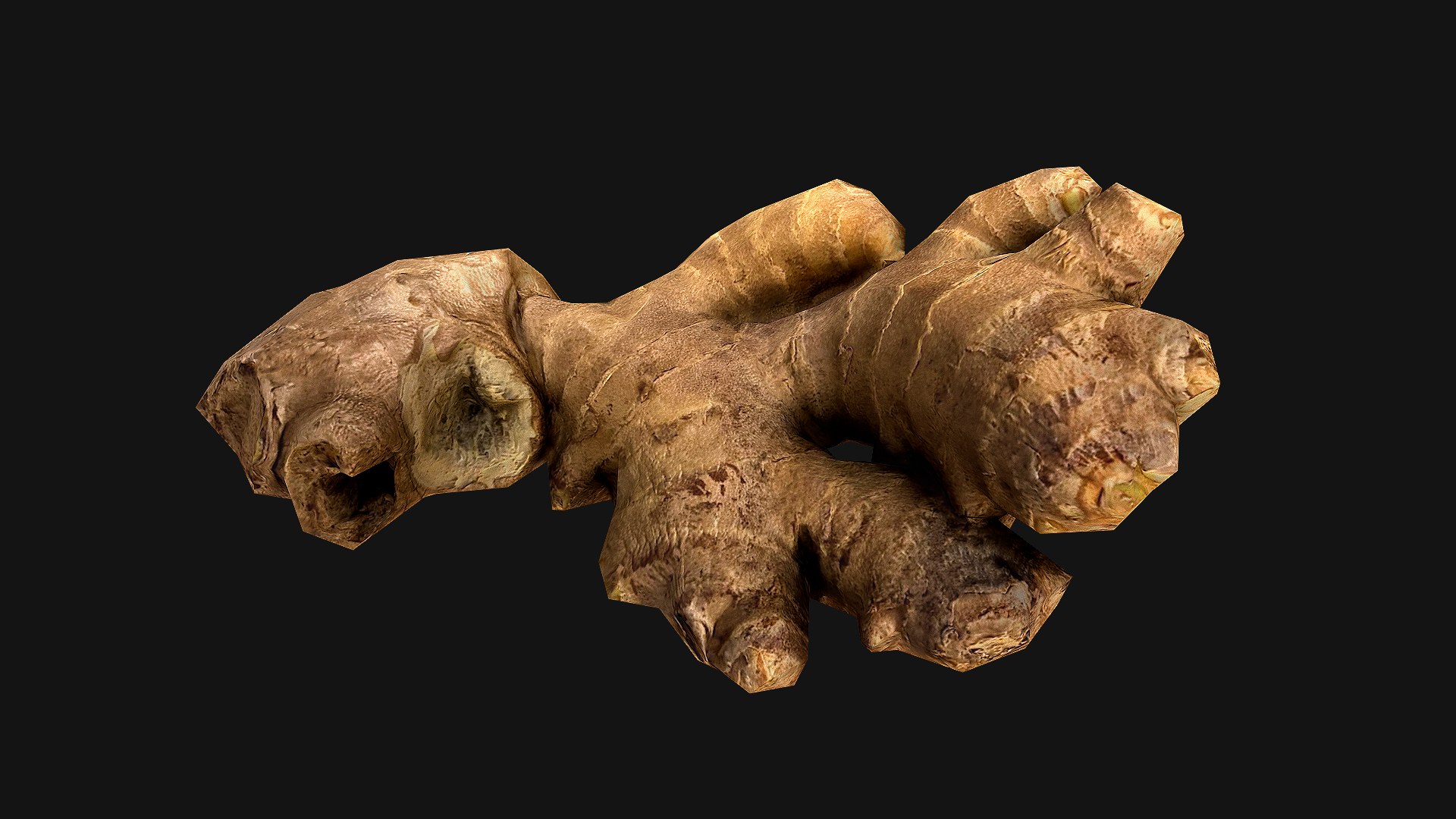 Ginger 3D Model - TurboSquid 1916789