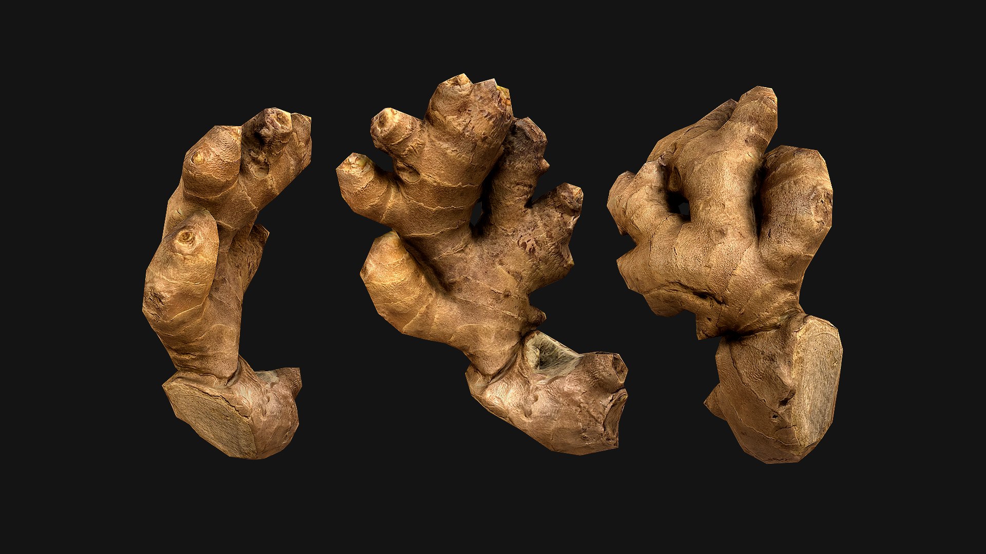 Ginger 3D Model - TurboSquid 1916789