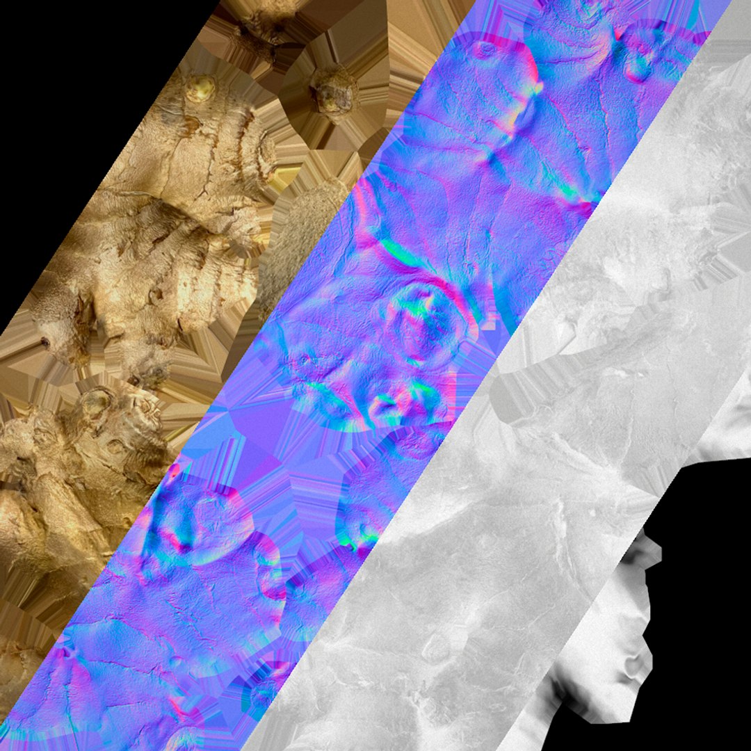 Ginger 3D Model - TurboSquid 1916789