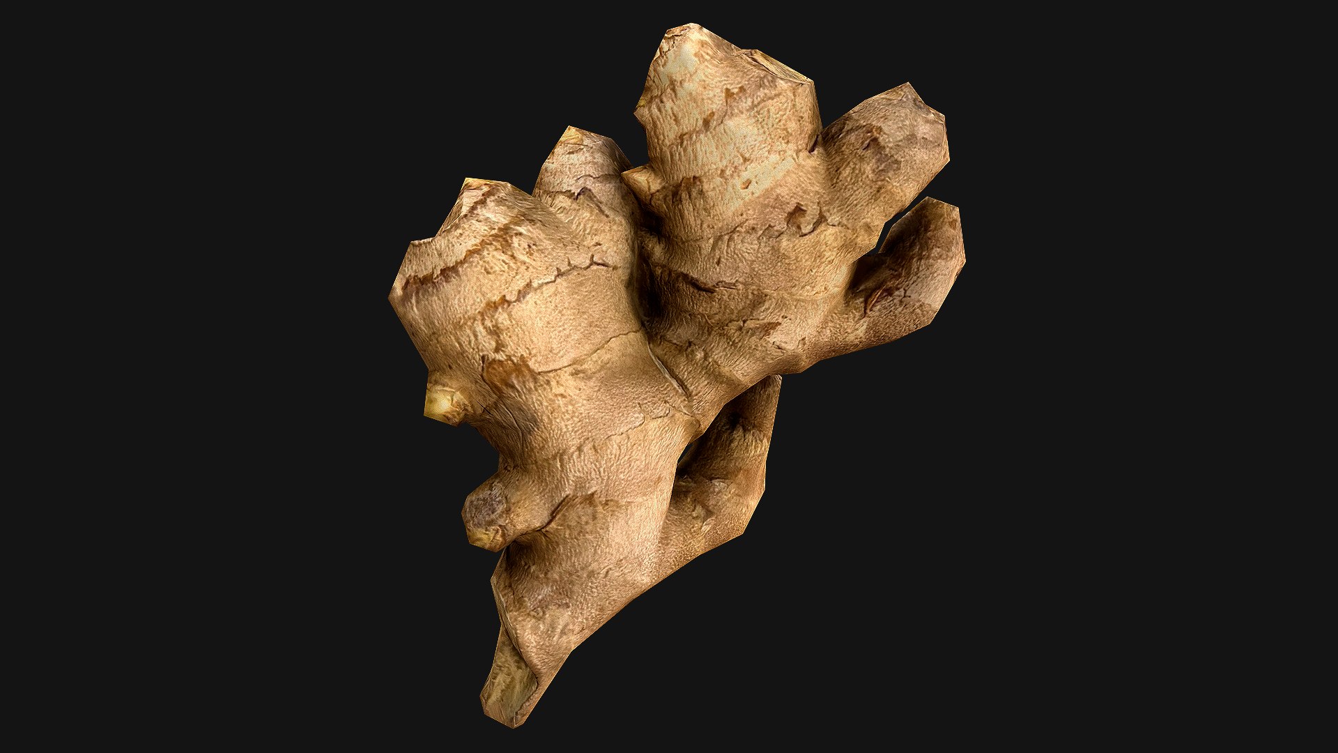Ginger 3D Model - TurboSquid 1916789
