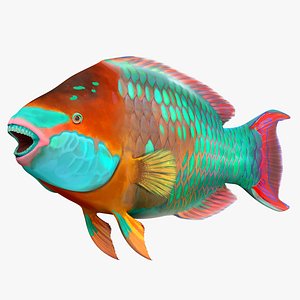 Free Low Poly 3D Fish Models For Download | TurboSquid
