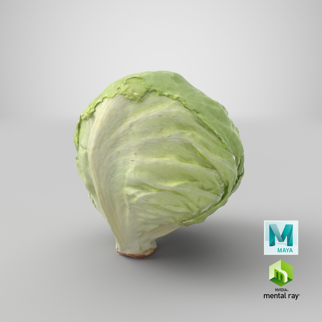 Lettuce 04 3D - TurboSquid 1838801