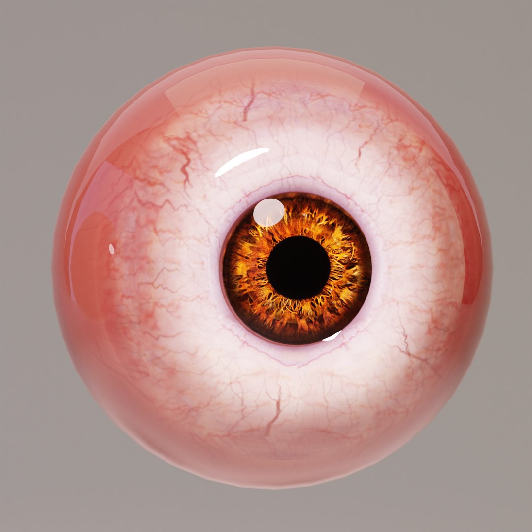 Eyes With Pupil Dilation Animation Model - TurboSquid 1879455