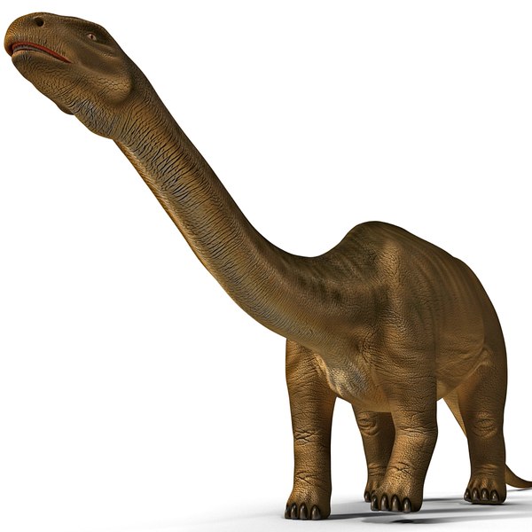 brontosaurus rigged 3d model