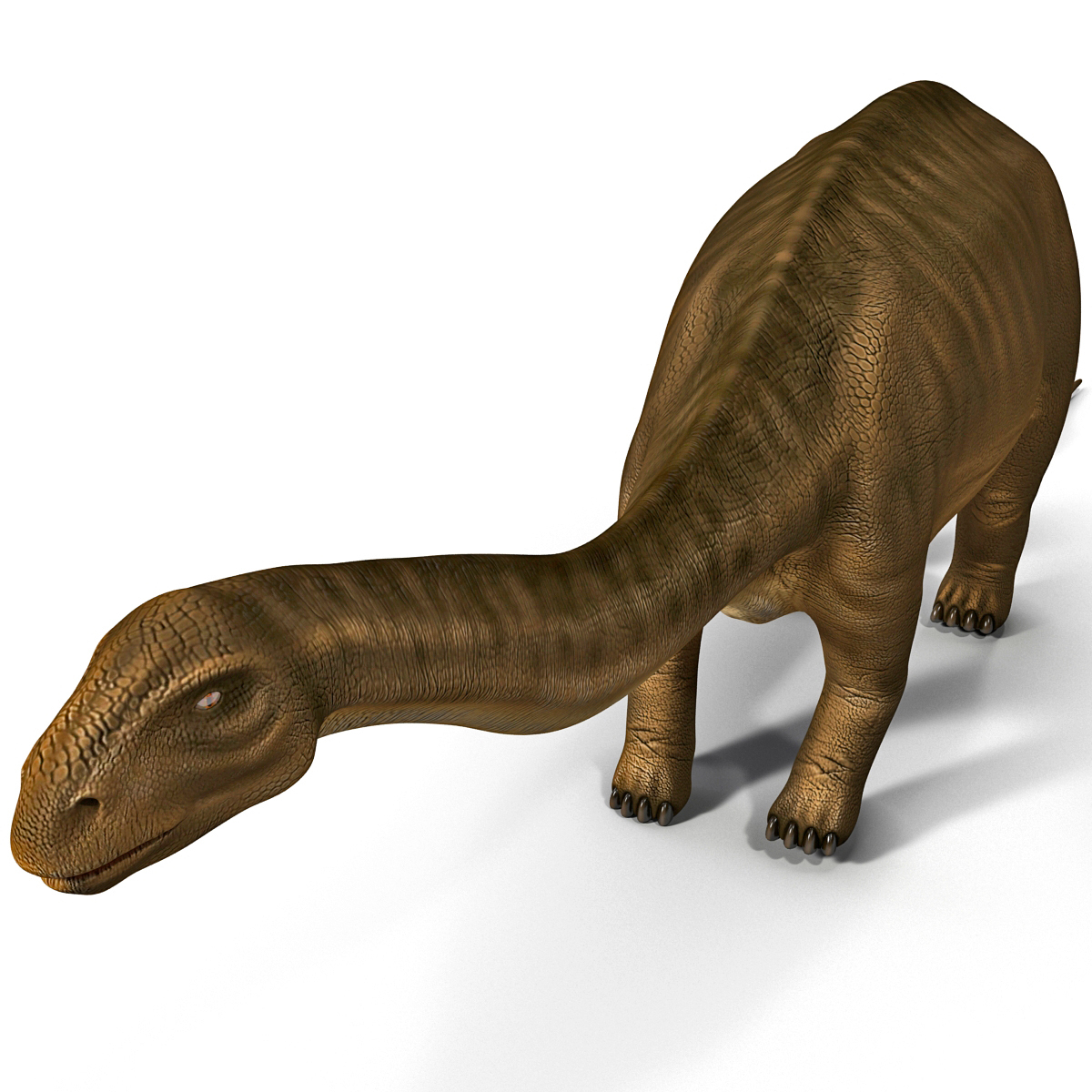 brontosaurus rigged 3d model