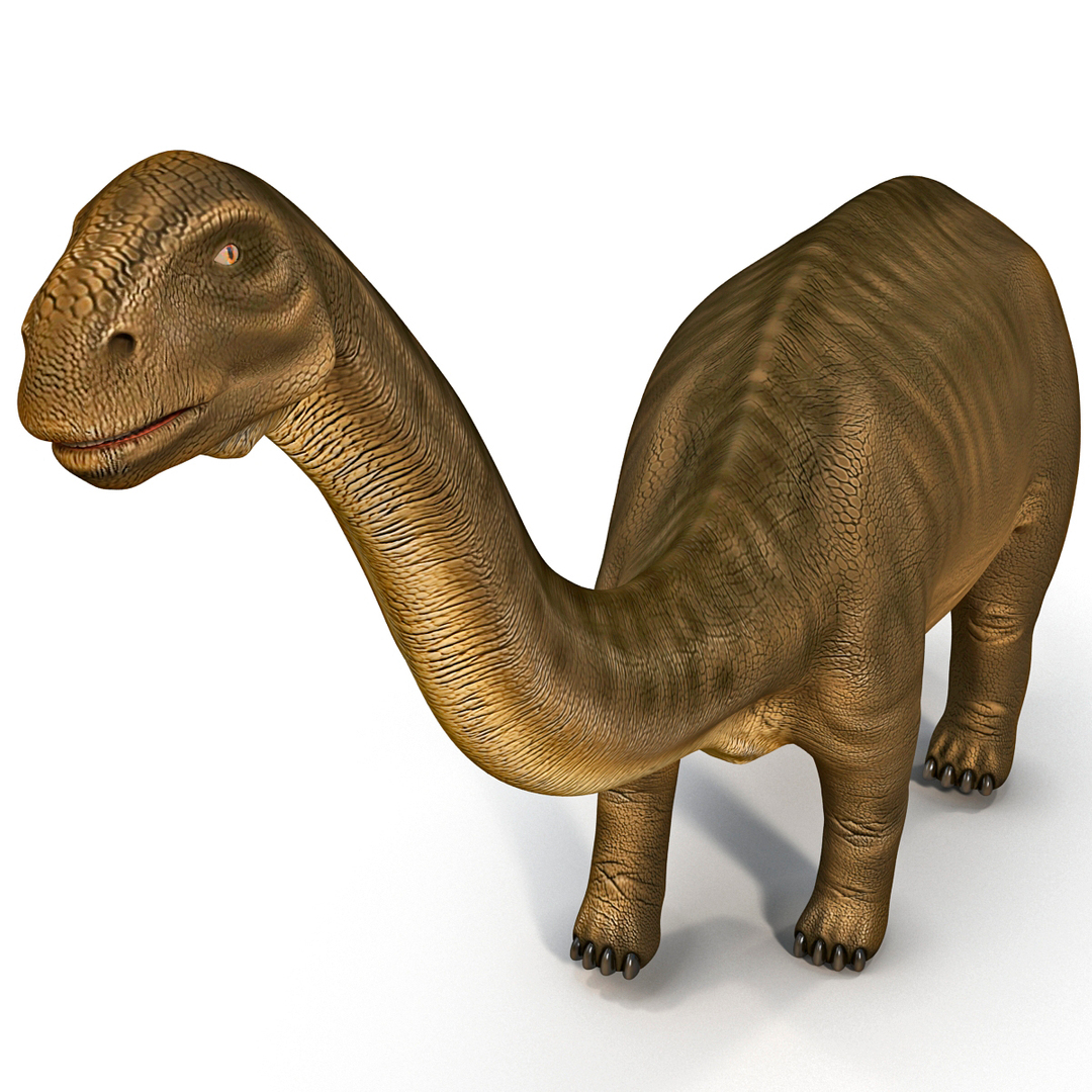 brontosaurus rigged 3d model