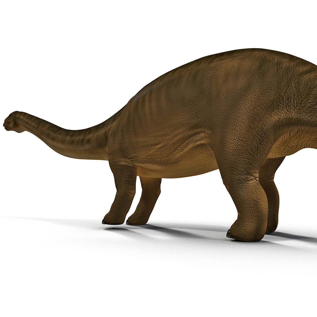 brontosaurus rigged 3d model
