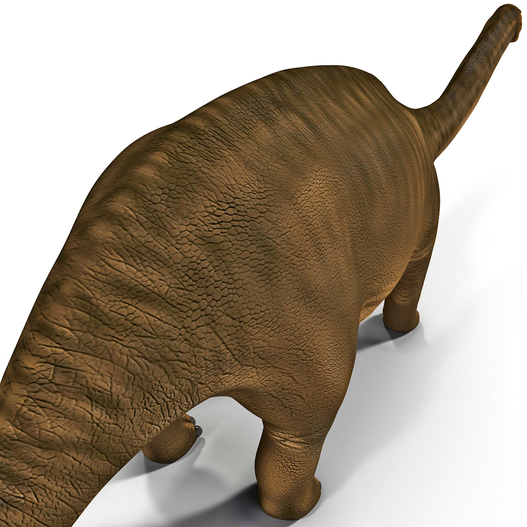 brontosaurus rigged 3d model