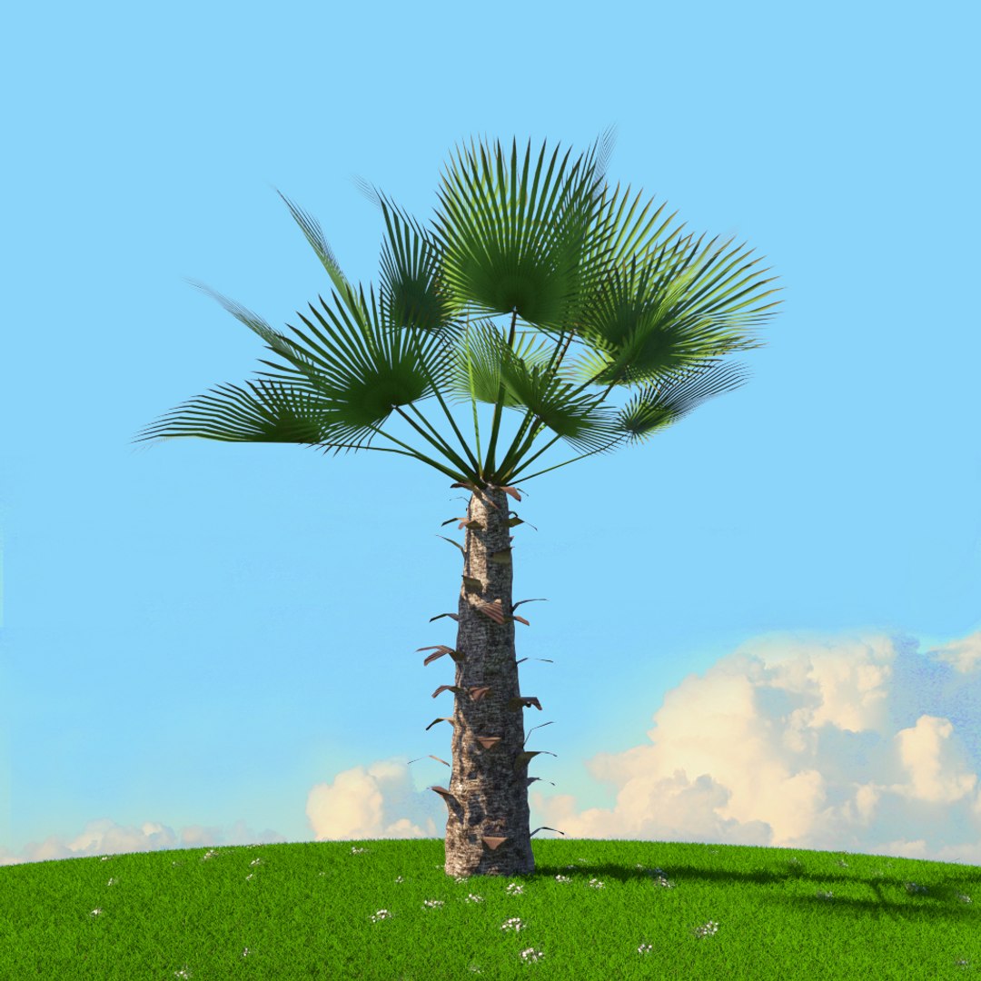 Trees Spring Environment 3D Model - TurboSquid 1655015