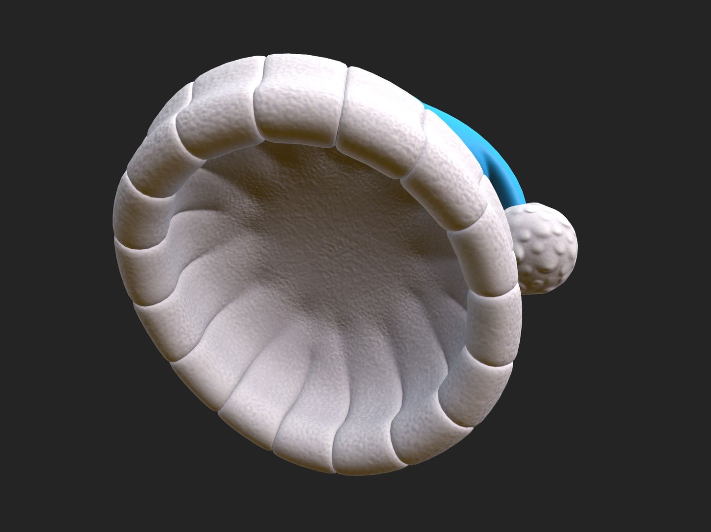 3D Hat065 Nightcap - TurboSquid 2337707